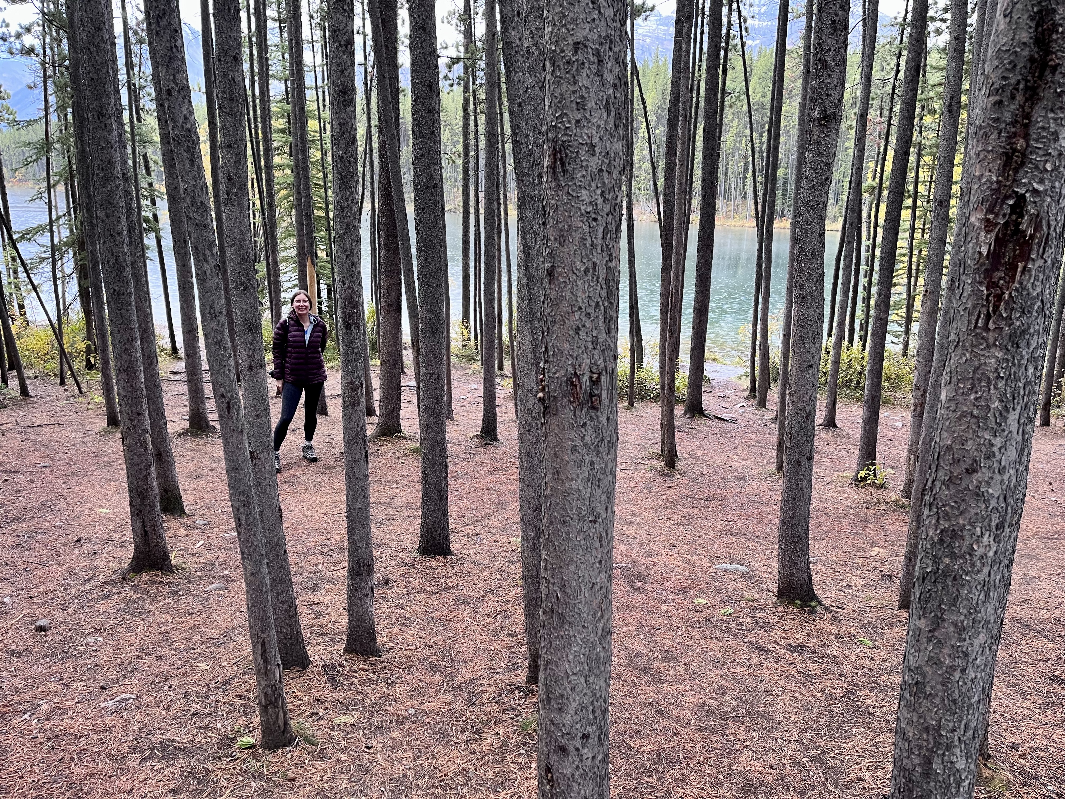 The last of Banff! Vistas and rivers and icefields… in the rain | A ...